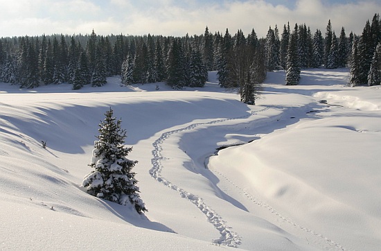 Nedělní zasněžená Šumava obrazem | In-počasí