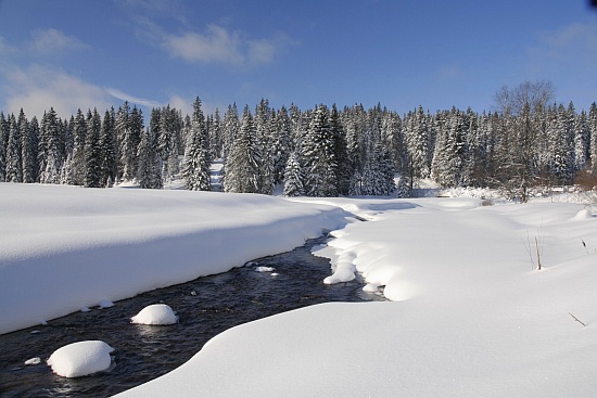 Nedělní zasněžená Šumava obrazem | In-počasí