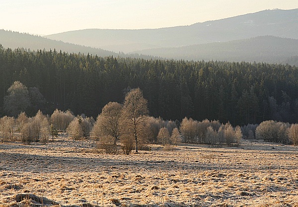 Šumava se probouzí do jara | In-počasí