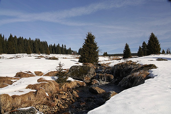 Šumava se probouzí do jara | In-počasí
