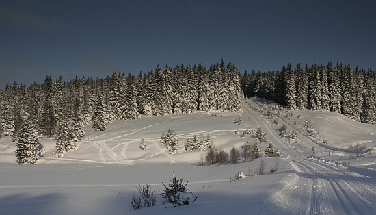 Nedělní zasněžená Šumava obrazem | In-počasí