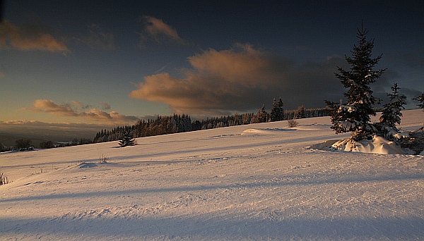 Nedělní zasněžená Šumava | In-počasí