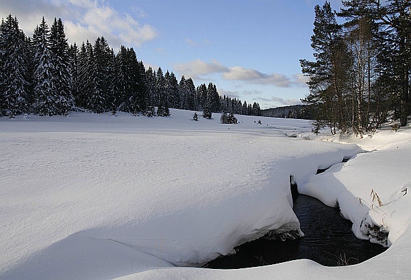 Nedělní zasněžená Šumava | In-počasí