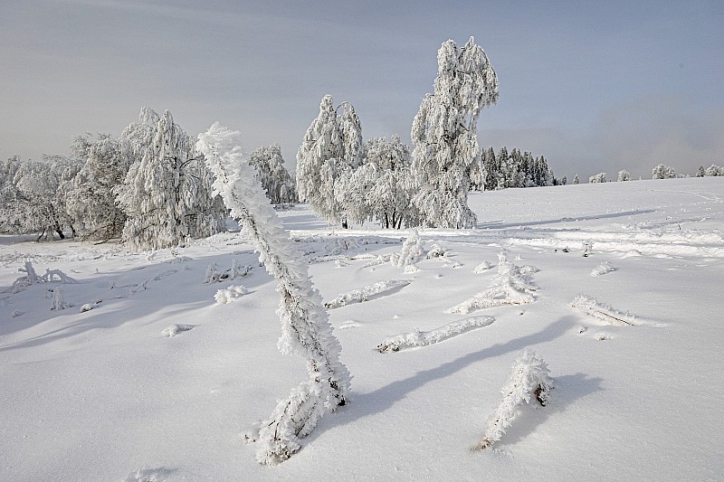 Silná námraza na Šumavě | In-počasí